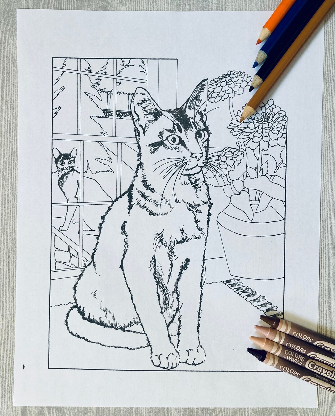 Cat Adult Coloring Sheet, Printable Coloring Page, Digital Download ...