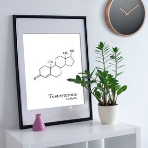 Testosterone Molecule Science Poster Minimalist Print Printable Poster ...