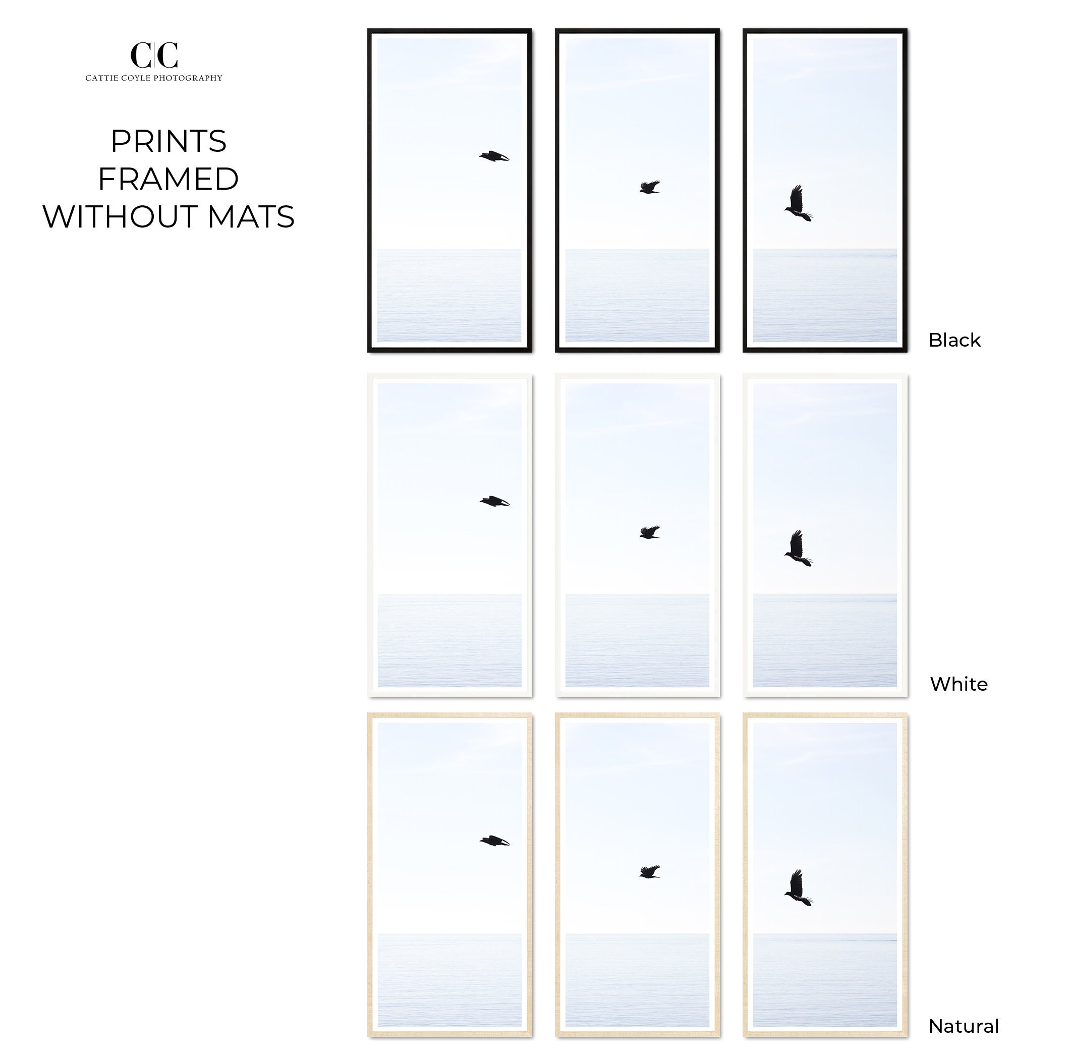 3 Panel Wall Art – Bird Photography Triptych – Large Framed Three Piece ...