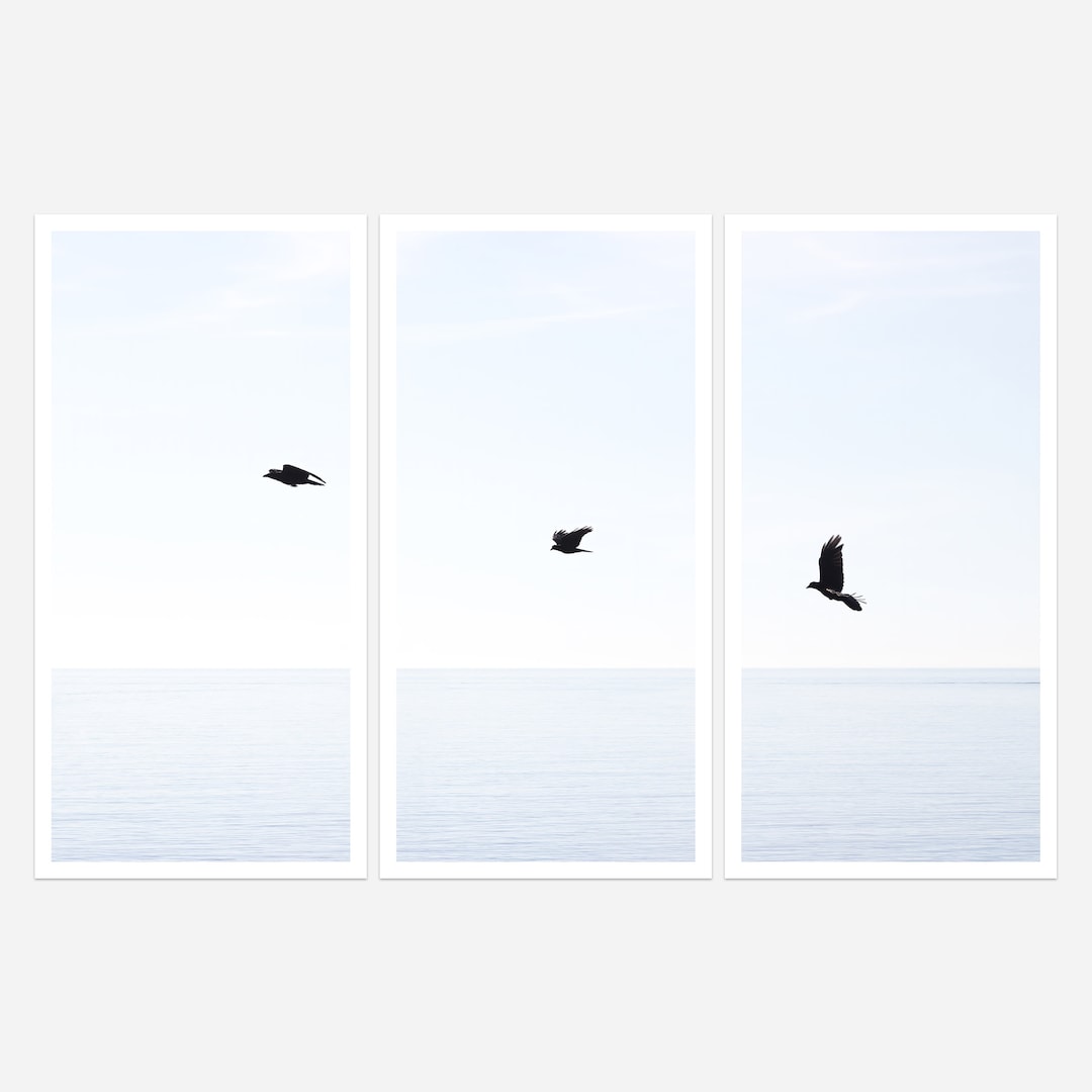 3 Panel Wall Art – Bird Photography Triptych – Large Framed Three Piece ...