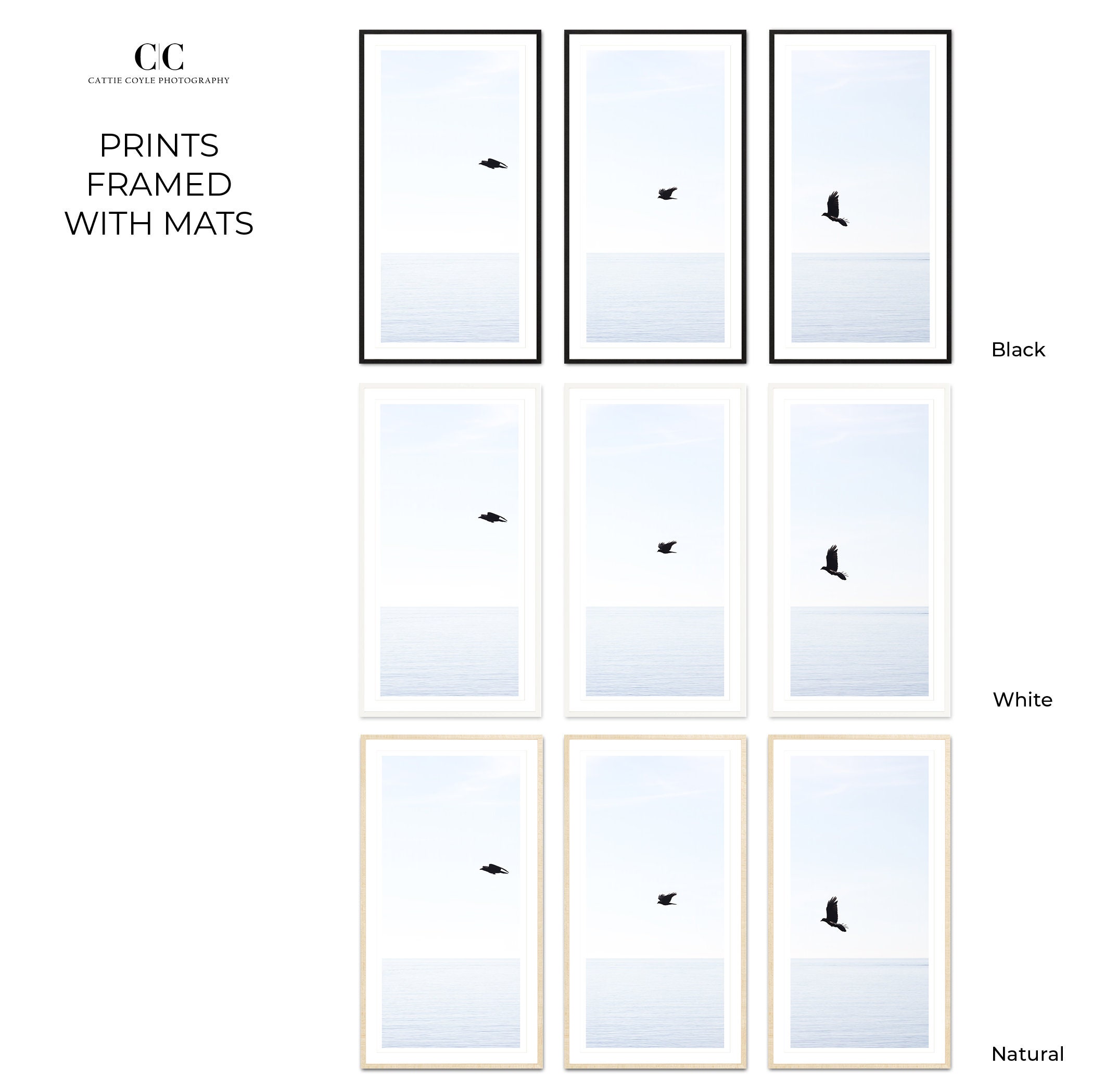 3 Panel Wall Art – Bird Photography Triptych – Large Framed Three Piece ...