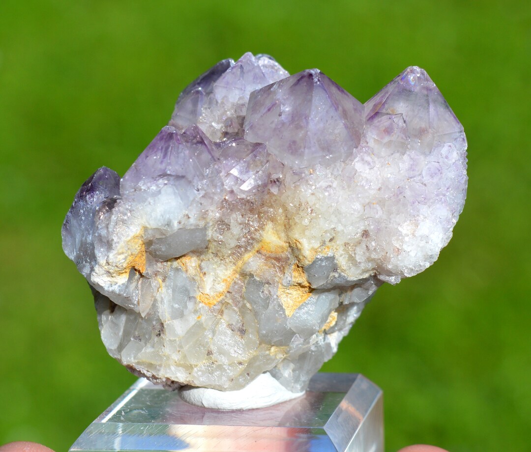 Cactus Amethyst 117 Grams - Boekenhoutshoek Area, Mkobola, Nkangala ...