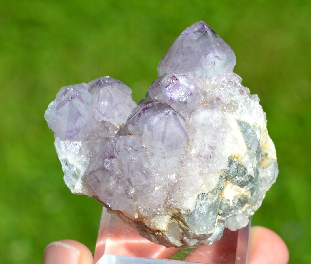 Cactus Amethyst, 120 Grams - Boekenhoutshoek Area, Mkobola, Nkangala ...