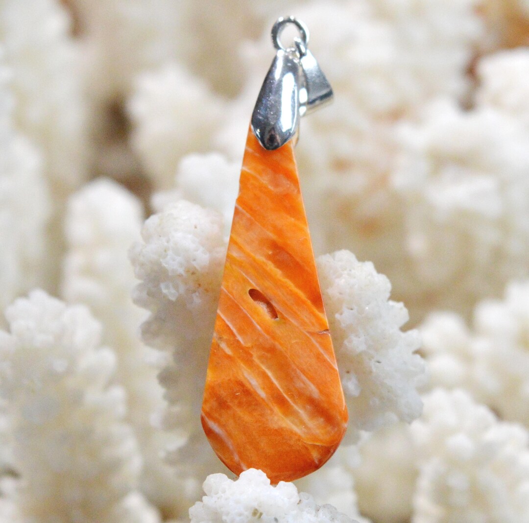 Spiny Oyster Spondylus 18 Carat Natural Shell Cabochon Pendant Mexico / FR40 - Etsy