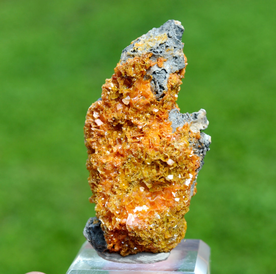 Wulfenite 103 Grams - Aïcha Bel Lahcen, Amersid, Aït Oufella Caïdat ...