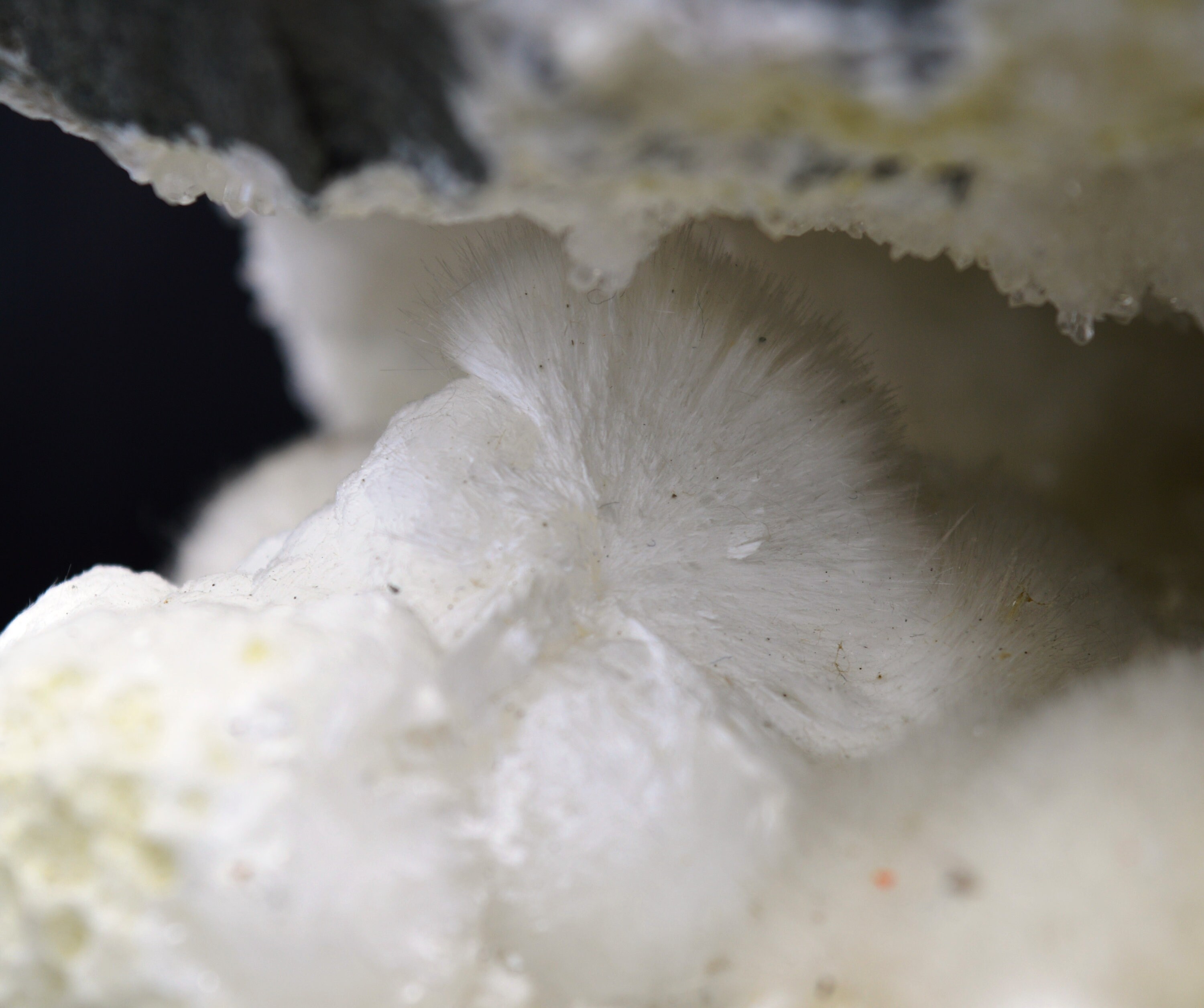 Geode Okenite Gyrolite 3450 grams - Nashik quarry, Maharashtra, India