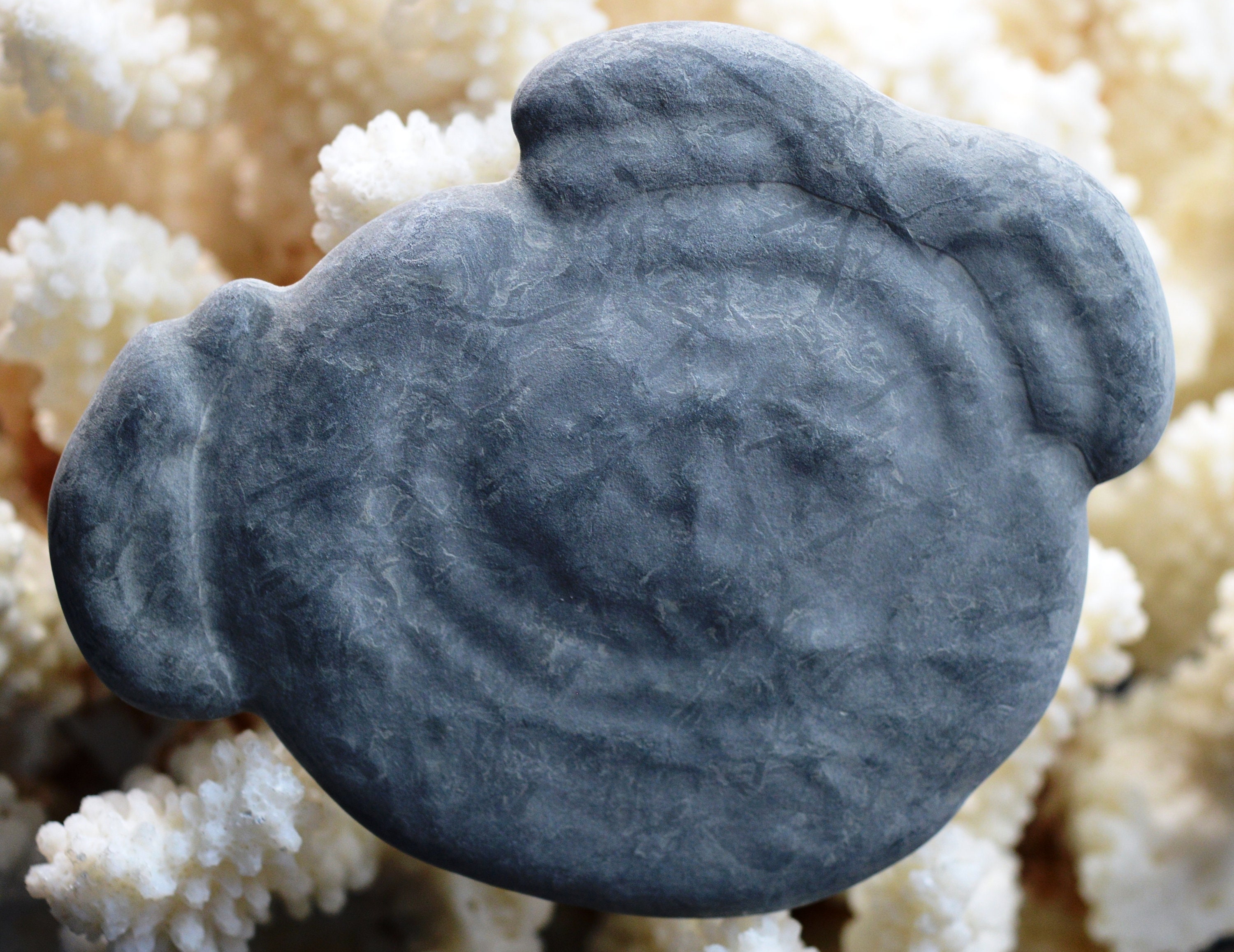 Fairy stone - 62 grams - Harricana River, Quebec, Canada