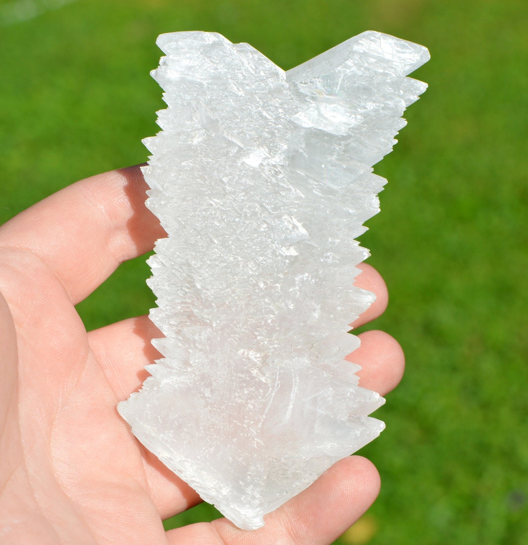 Gypsum Fish Tail 375 Grams Naica Mun. From Saucillo - Etsy