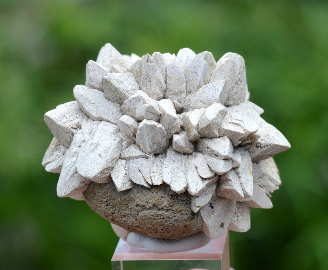 Calcite Pseudomorph After Ikaite Var. Glendonite 51 Grams Bolshaya ...