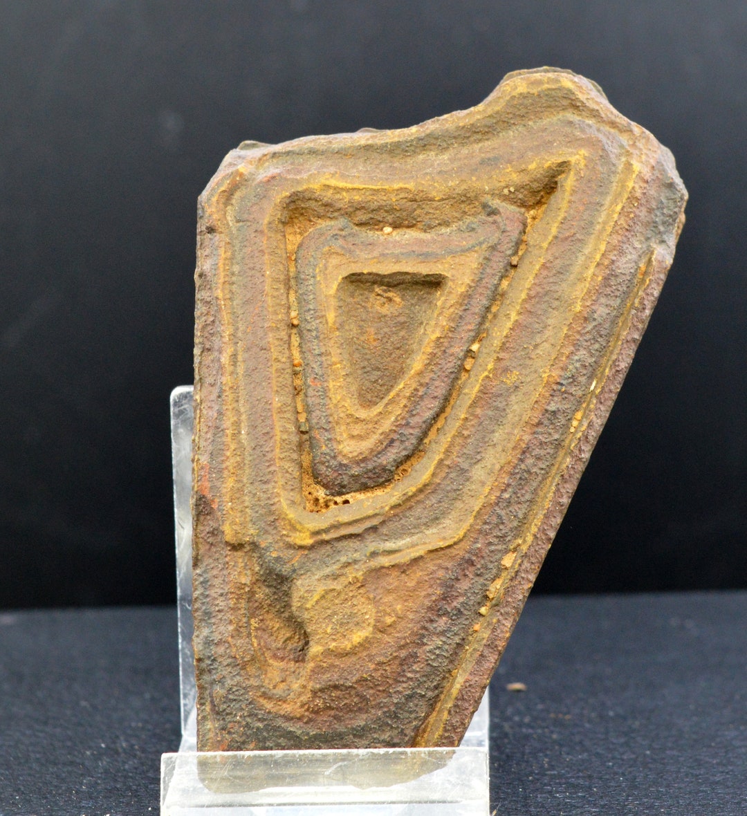 Tsesite 146 Grams Sahara, Algeria - Etsy