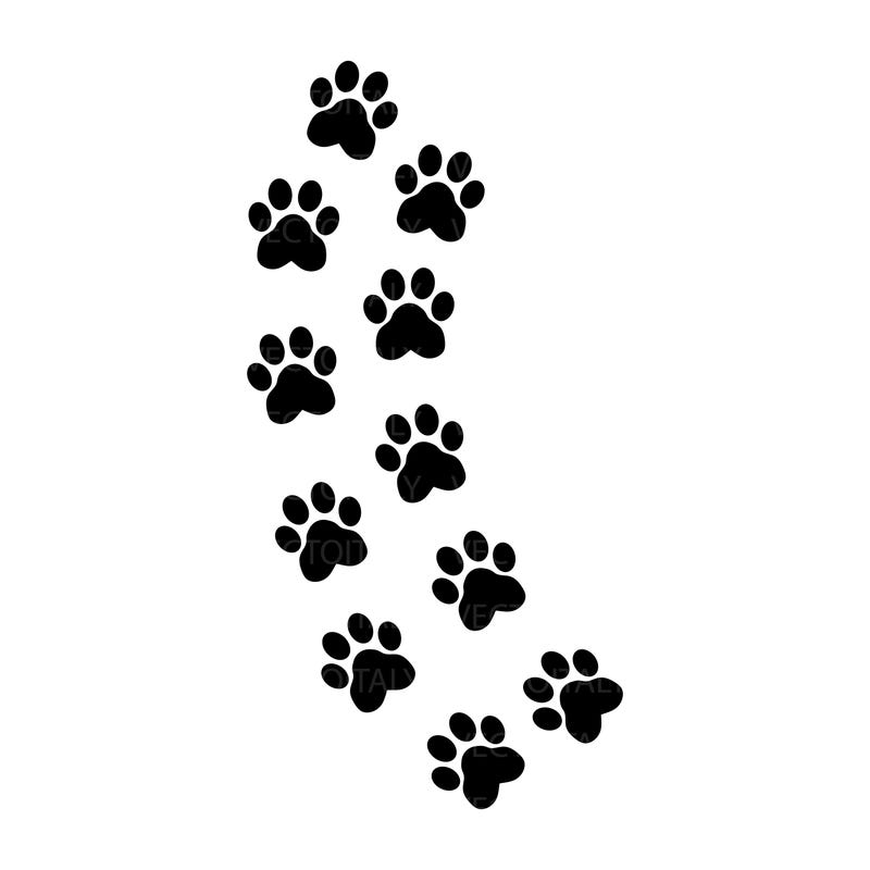 Paw Print Stamps - Etsy