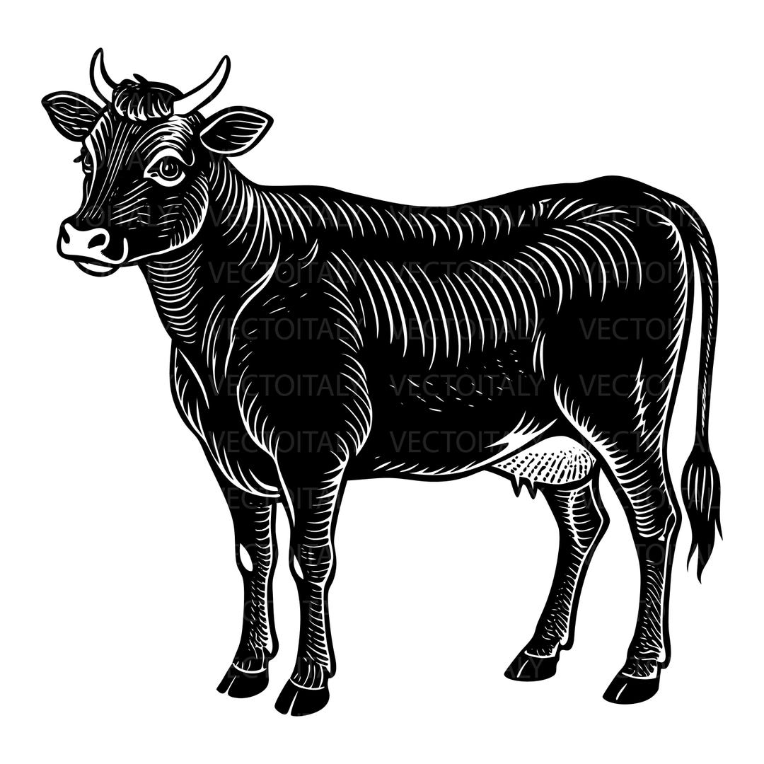 Show Heifer Cow Vector,raster- SVG, PNG, JPG - Etsy