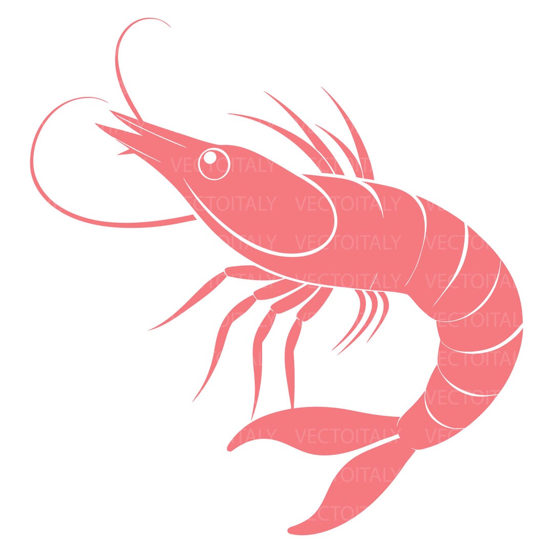 Shrimp SVG File for Cricut and Silhouette, Shrimp PDF, Happy Shrimp ...