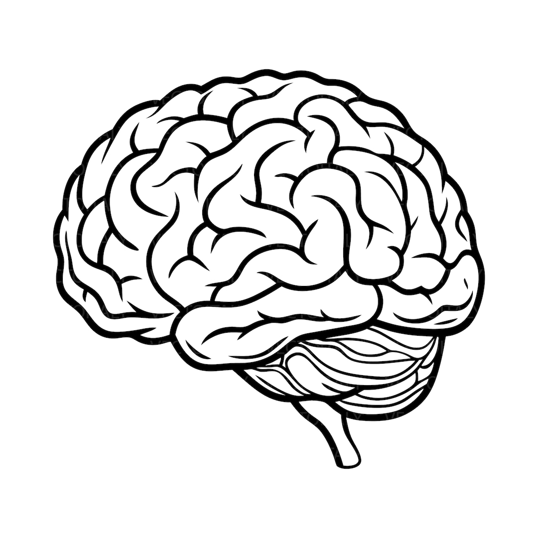 Brain SVG, Brain PNG, Brain Clip Art, Brain Cut File, Brain Stencil ...