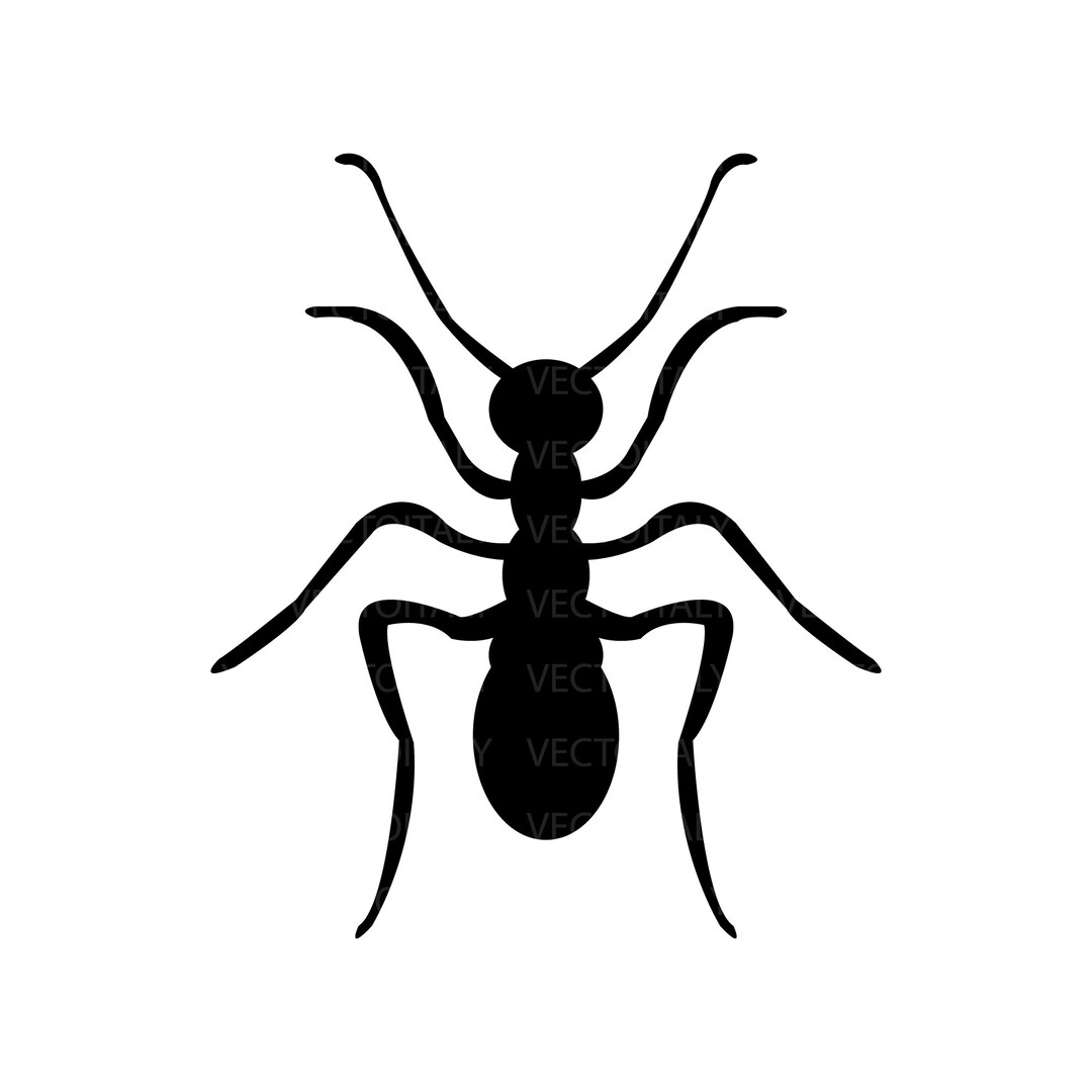Ant Svg Cutting Image, Ant Clip Art Svg, Ant Pdf Clipart, Ant Vinyl Cut ...