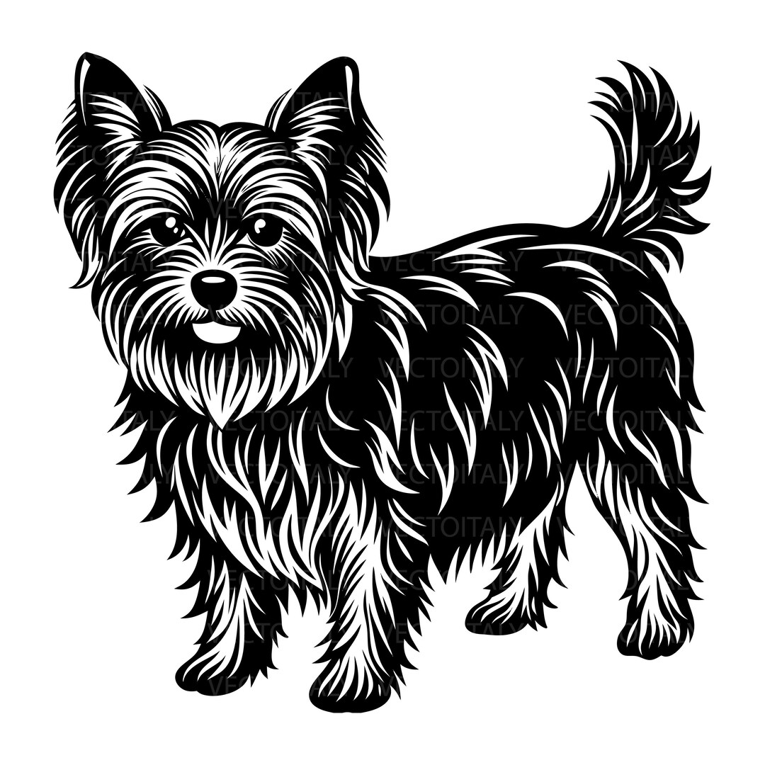 Yorkshire Terrier Svg, Yorkie Svg, Dog Svg, Yorkshire Svg, Vector Decal ...