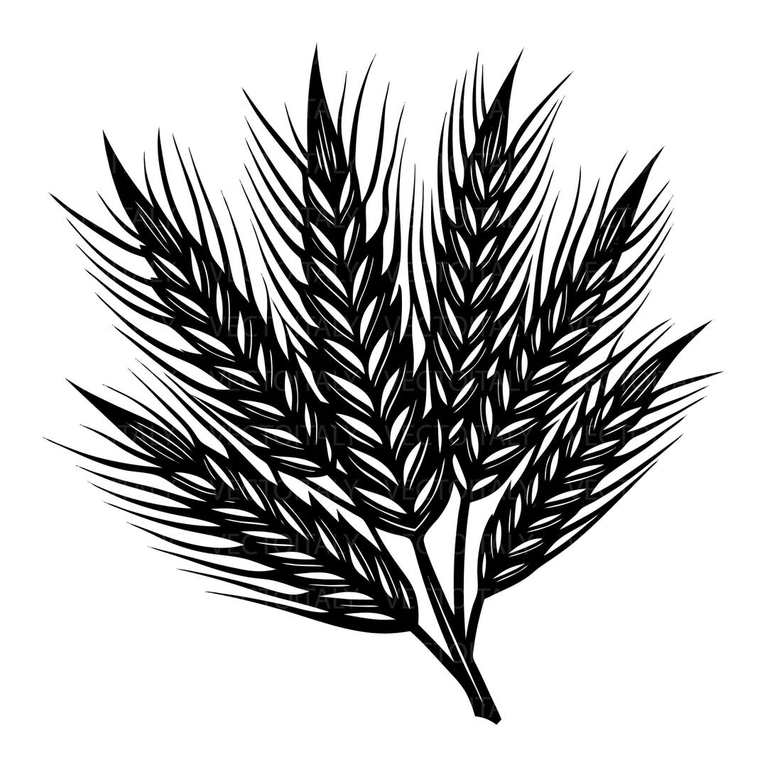 Wheat Stem Svg, Floral Stem Svg, Stem Silhouette, Cutting File, Clipart ...