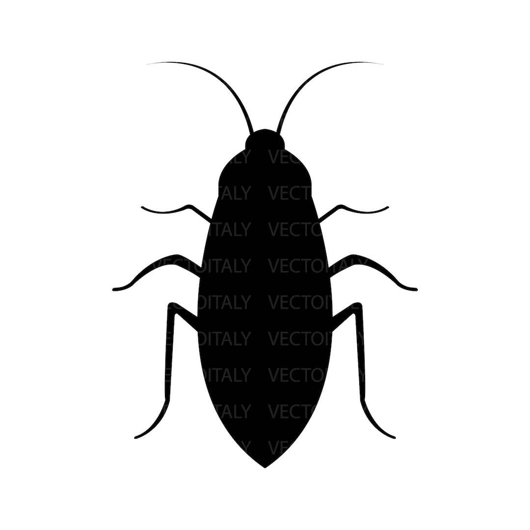 Cockroach Svg, Cockroach Insect Png, Pest Clipart, Cockroach Icon, Bug ...