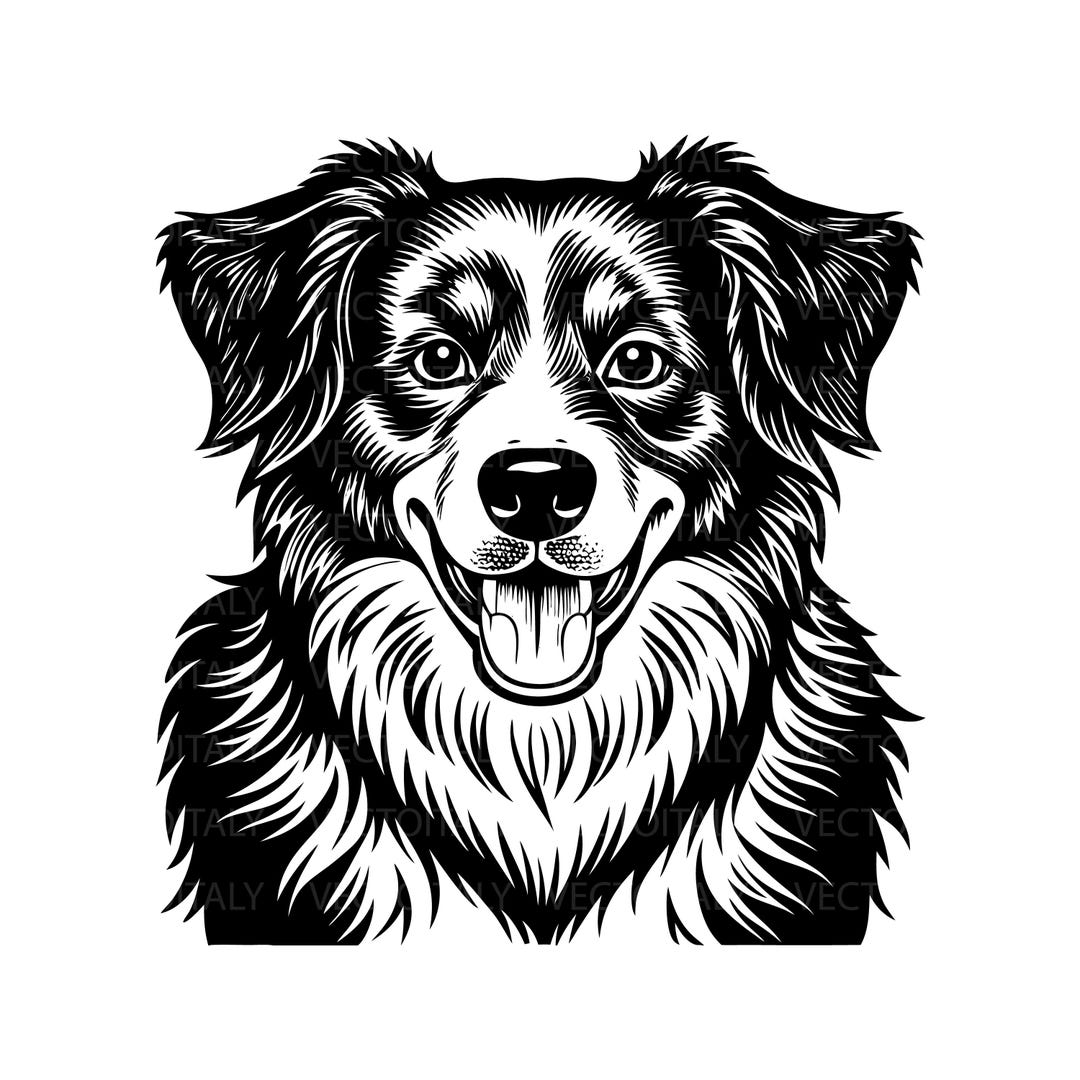 Australian Shepherd Smiling Aussie Dog Breed Animal Pet Hound Puppy ...