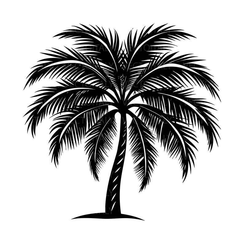 Palmera Svg. Archivo de corte vectorial para Cricut, Silhouette, Pdf ...