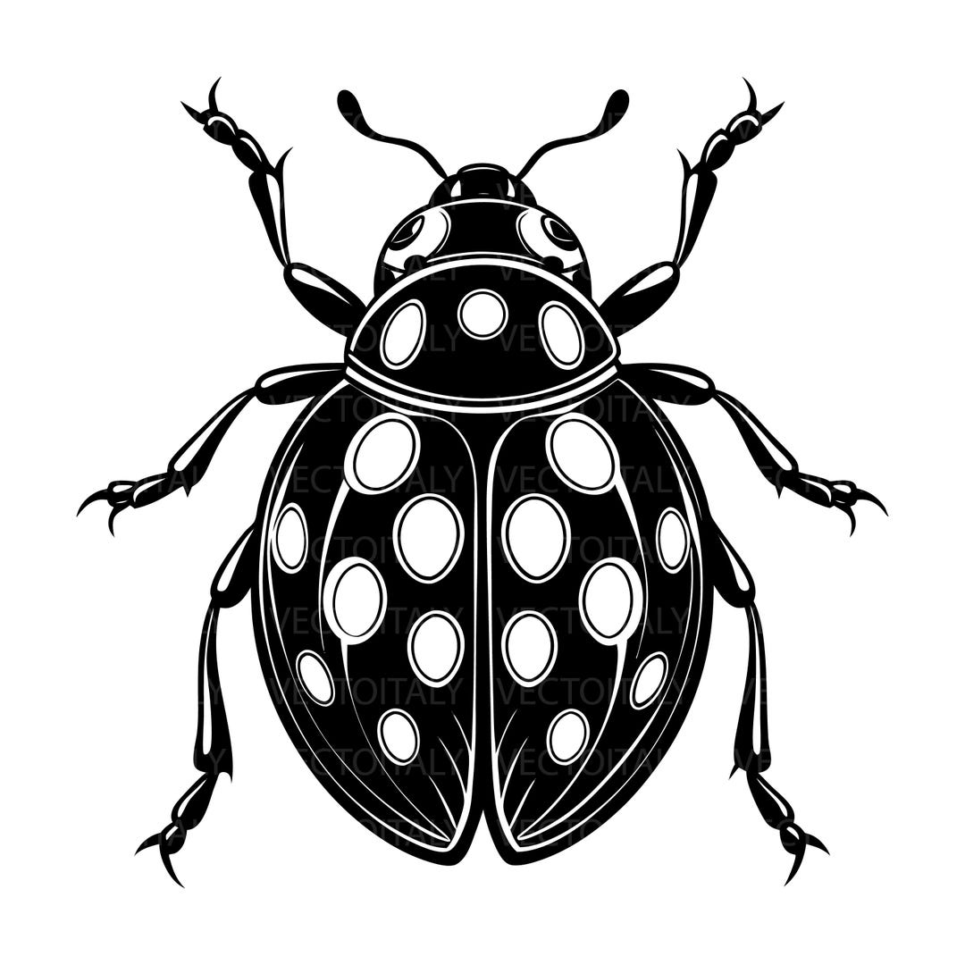 Ladybug SVG & Png Files - Lady Bug Clip Art Vector Image SVG Files ...