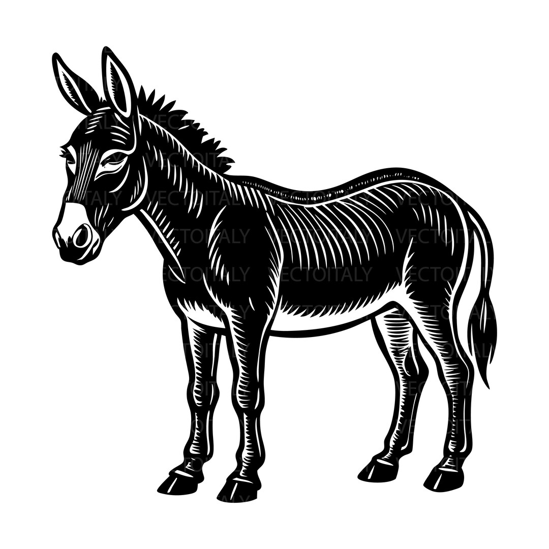 Mule Svg, Donkey Svg. Vector Cut File for Cricut, Silhouette, Stencil ...