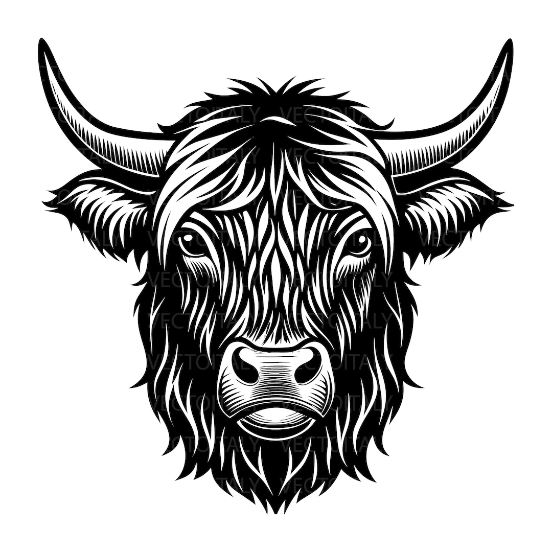Highland Cow Svg, Hingland Cow Clipart, Highland Heifer Svg, Cow ...