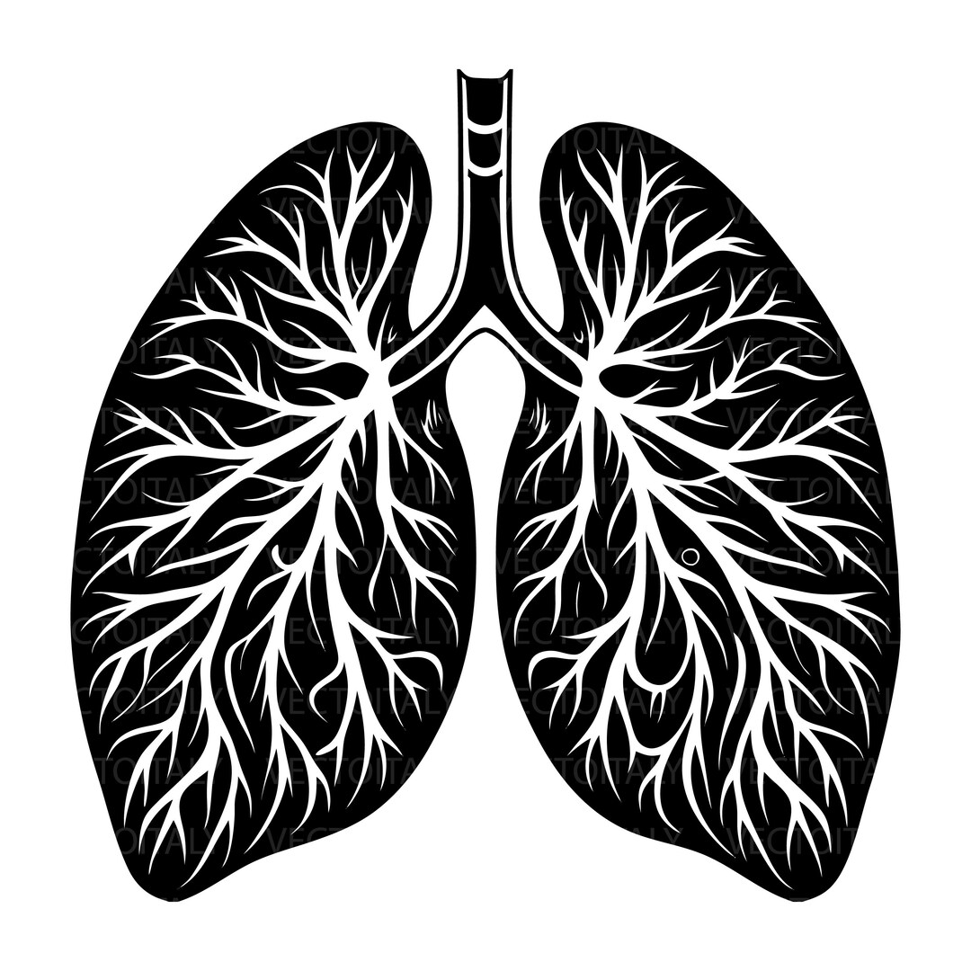 Lungs SVG, Lung SVG, Healty SVG, Cigaret Svg - Etsy