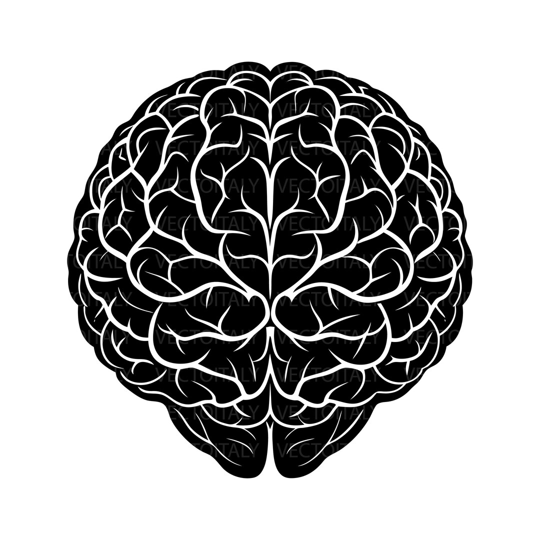 Brain SVG, Brain PNG, Brain Clipart, Brain Cut File, Brain Stencil ...