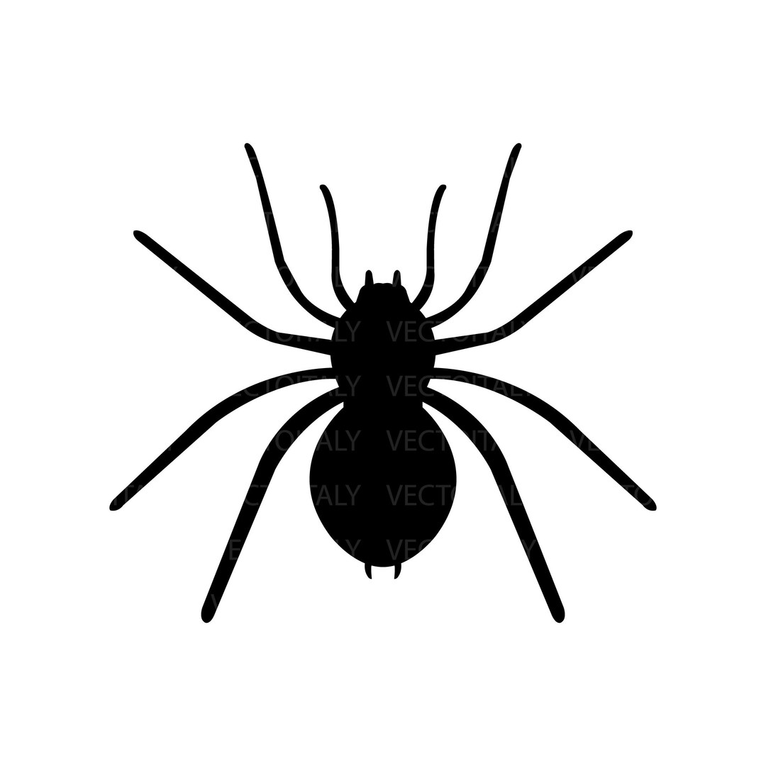 Spider Svg Halloween Spider Svg Spider Silhouette Svg Files for Cricut ...