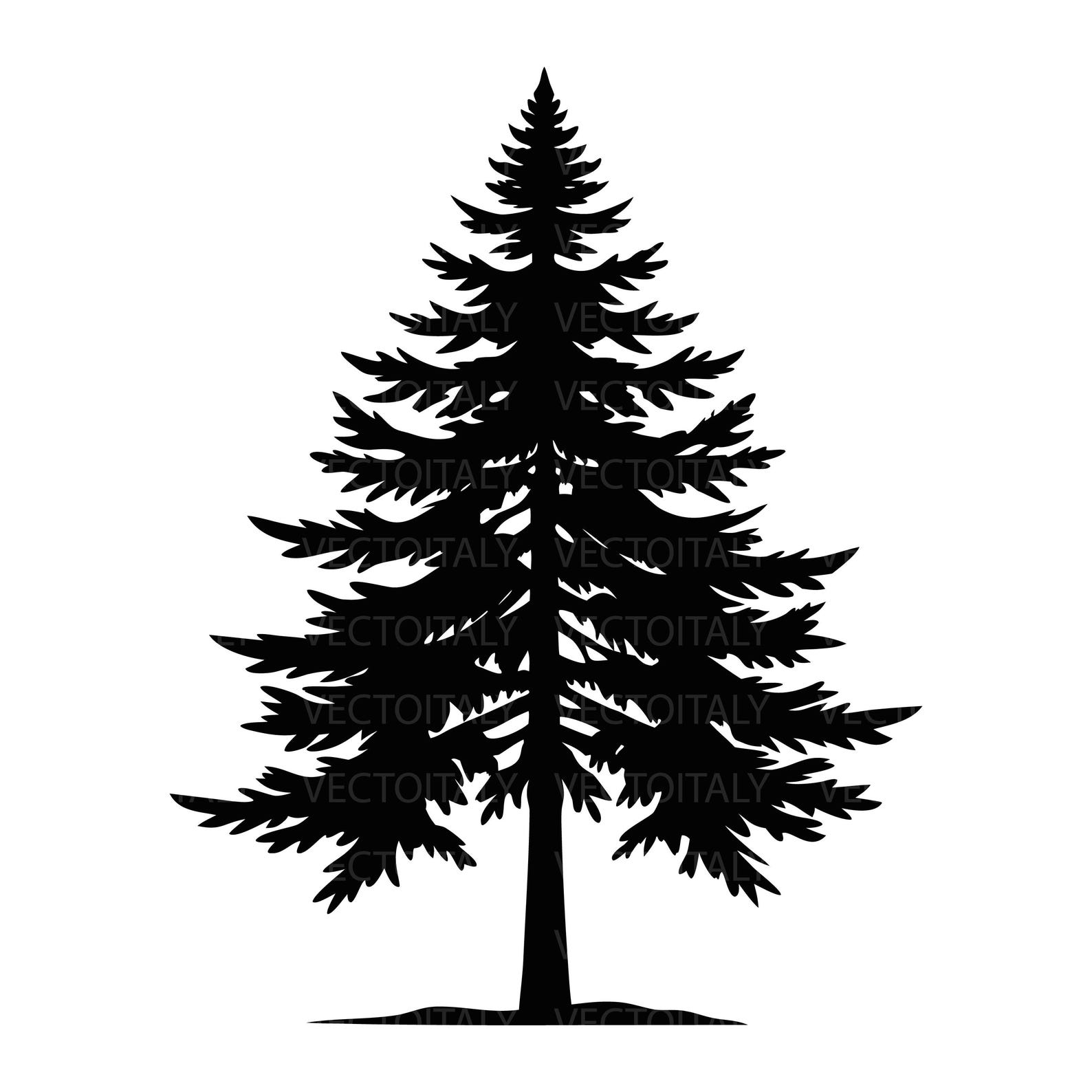 Thin Pine Tree Svg, Tree Download File Svg Digital Cricut Svg Clip Art ...