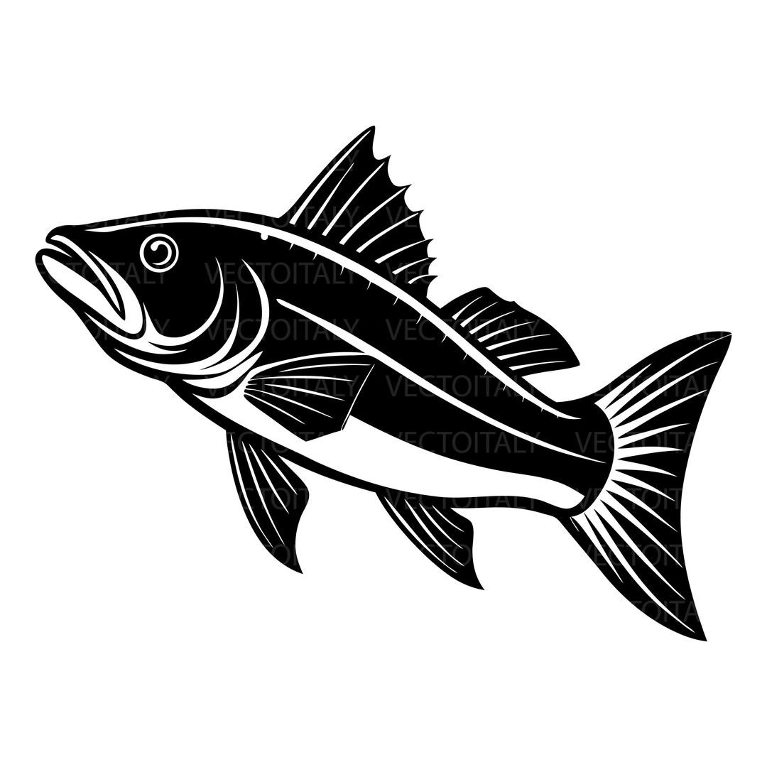 Snook SVG PNG PDF Vector Transparent Cameo Silhouette Cut File Saying ...