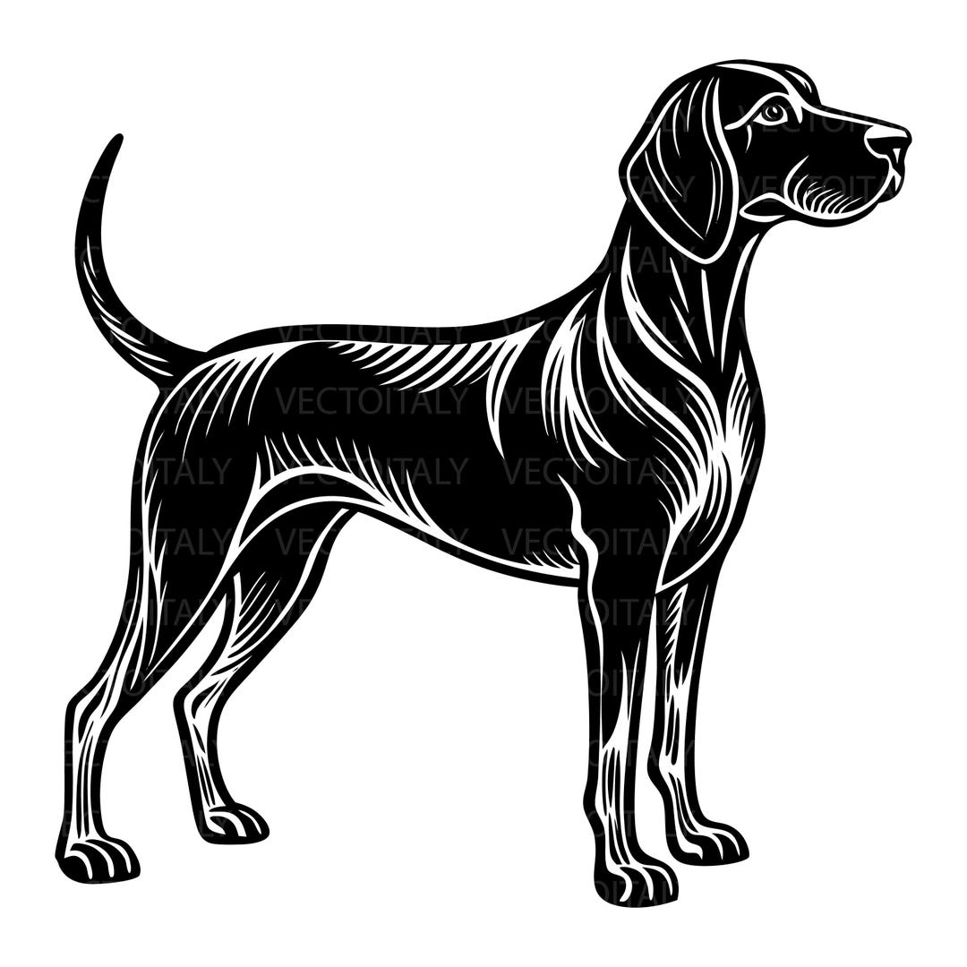 Coonhound Svg Coonhound Dog Svg Coonhound Dog Digital Download ...