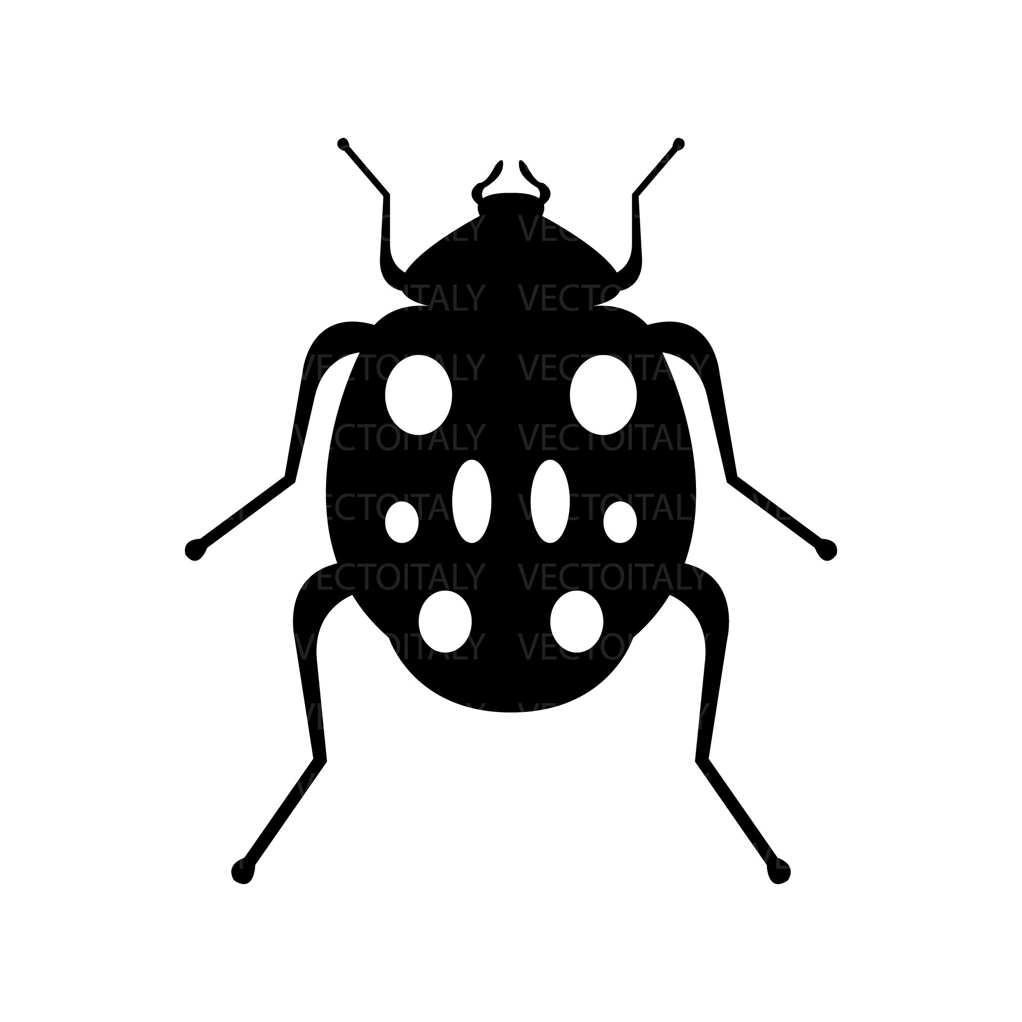 Ladybug Svg, Beetle Svg, Lady Bug Svg, Love Bug Svg, Animals Svg ...