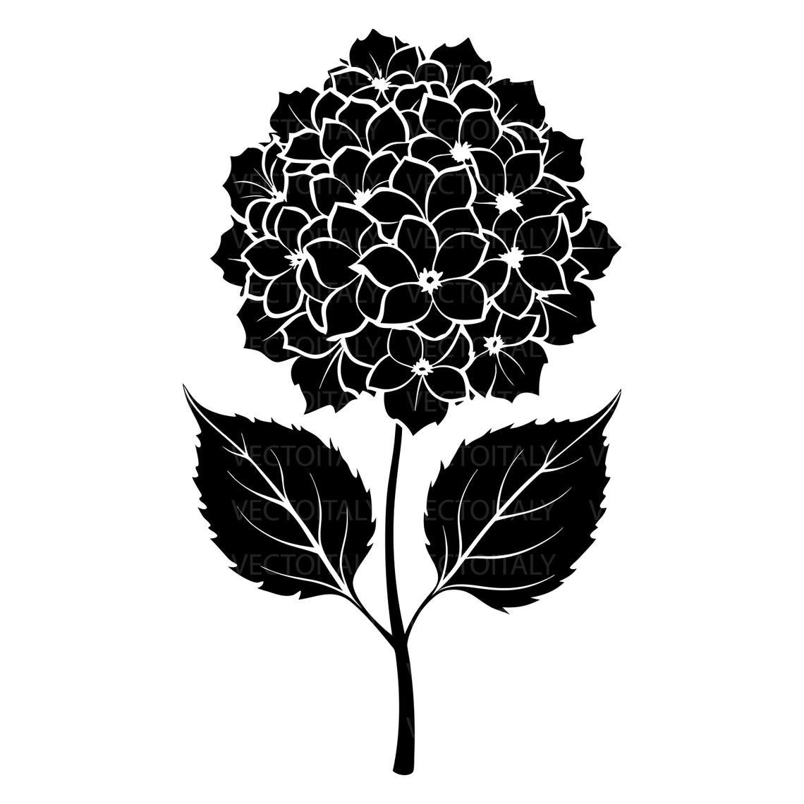 Hydrangea Flower SVG PNG Clipart Cut Files for Cricut, Silhouette ...