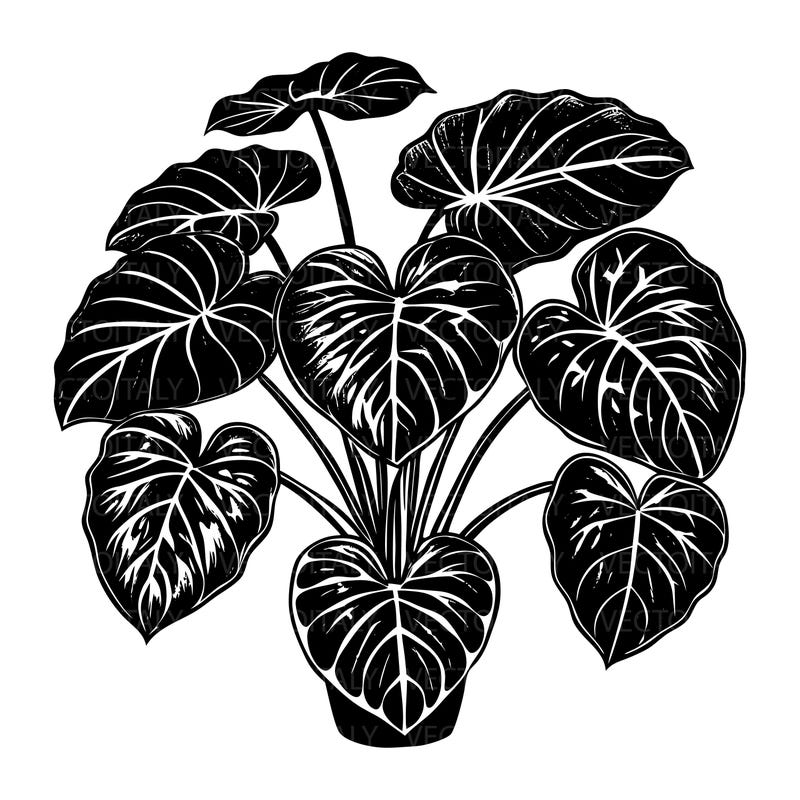 Svg Files Taro Plant - Etsy