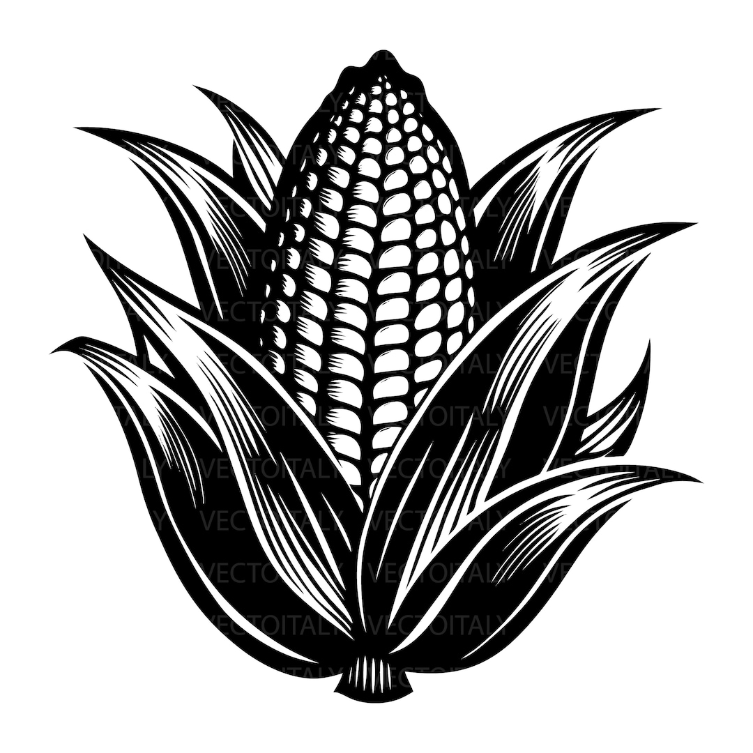 Corn SVG, Corn PNG, Corn Clipart, Corn Cut File, Corn Stencil, Corn ...