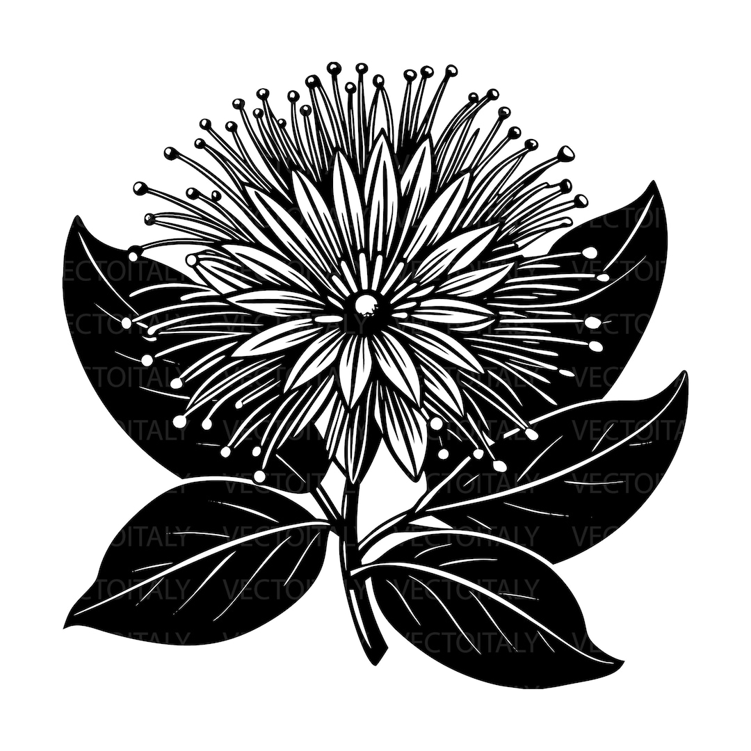 Flower SVG , Hawaii SVG , Ohia Lehua SVG , Lehua Flower , Digital ...