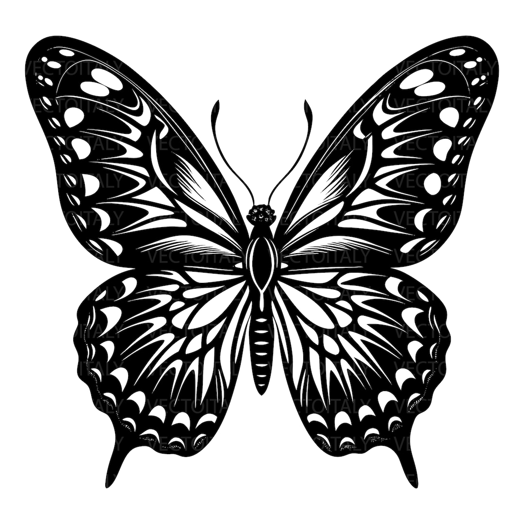 Butterfly Clipart Svg, Butterfly Vinyl Cut File, Butterfly Vector ...