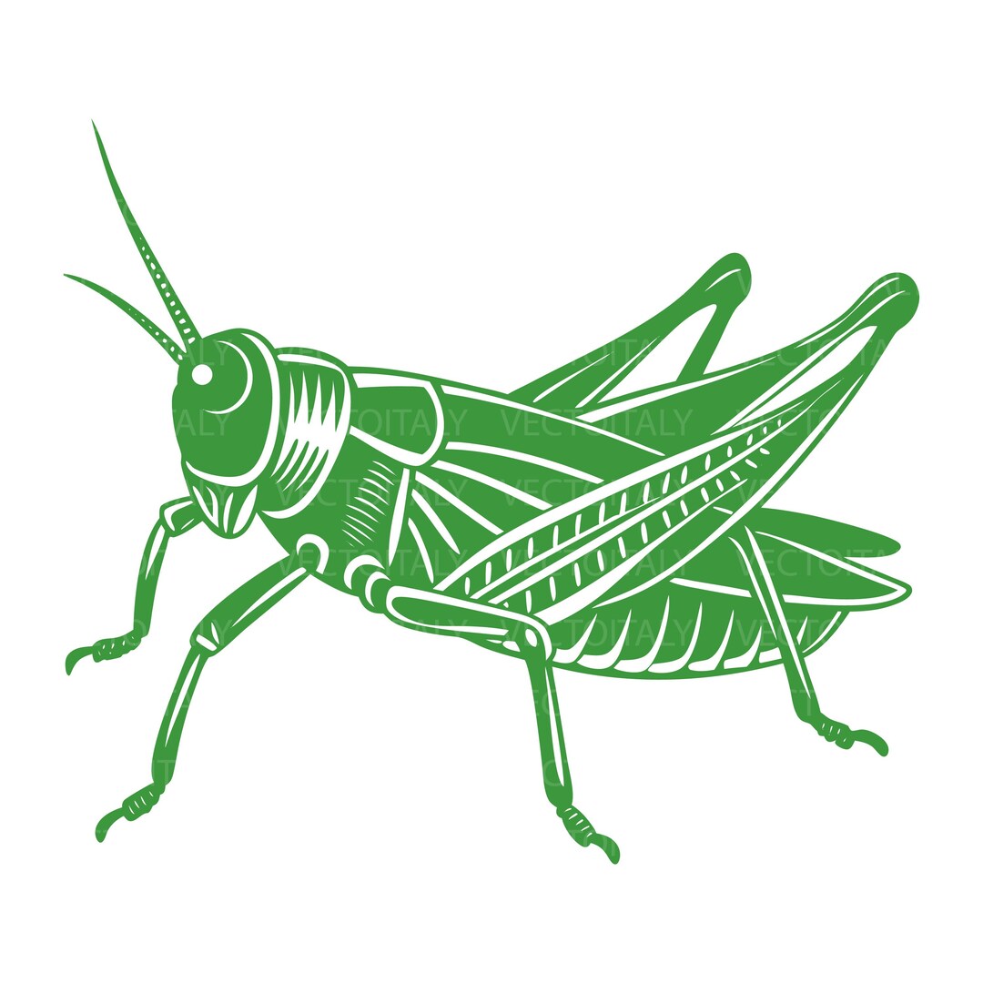 Grasshopper (locust). Cut Files for Cricut. Clip Art Silhouette (eps ...