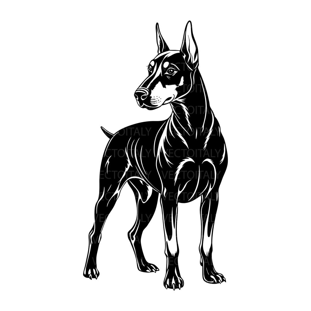 Doberman Svg, Dog Svg, Doberman Silhouette, Doberman Outline Png ...