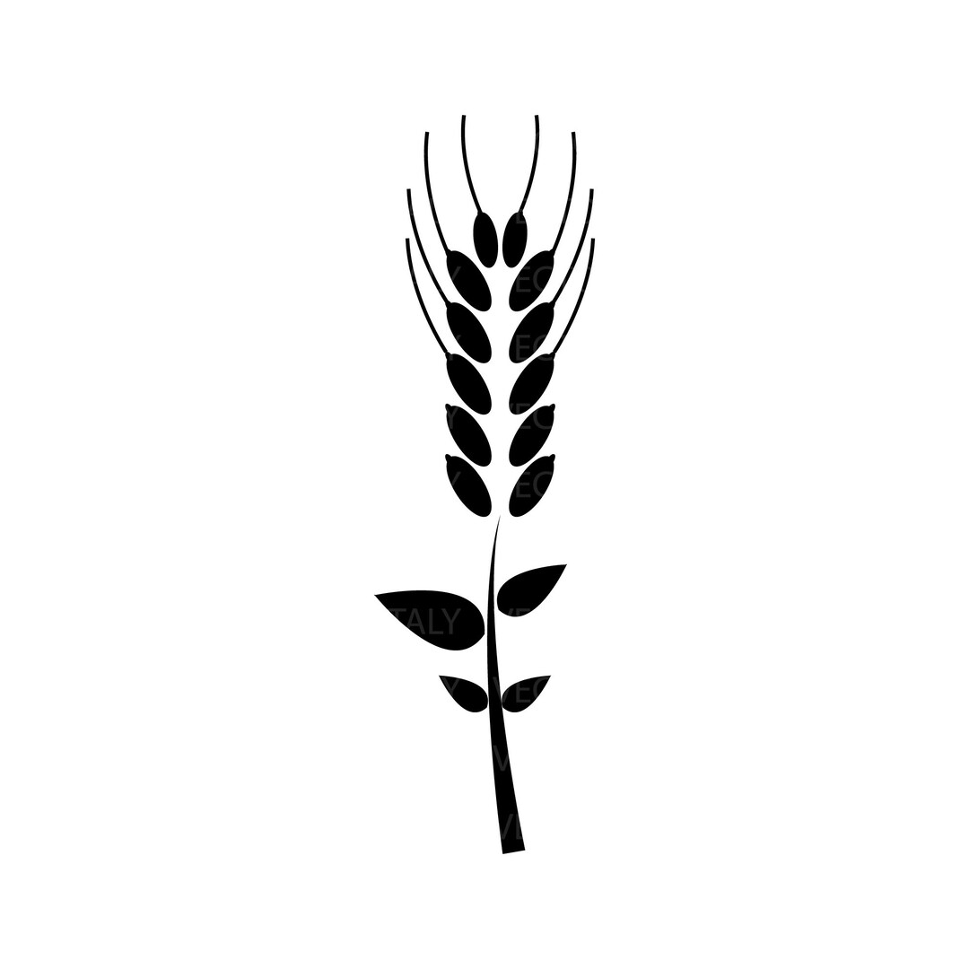 Wheat Svg, Svg Files for Cricut, Farm Svg, Corn SVG, Farmhouse Svg ...
