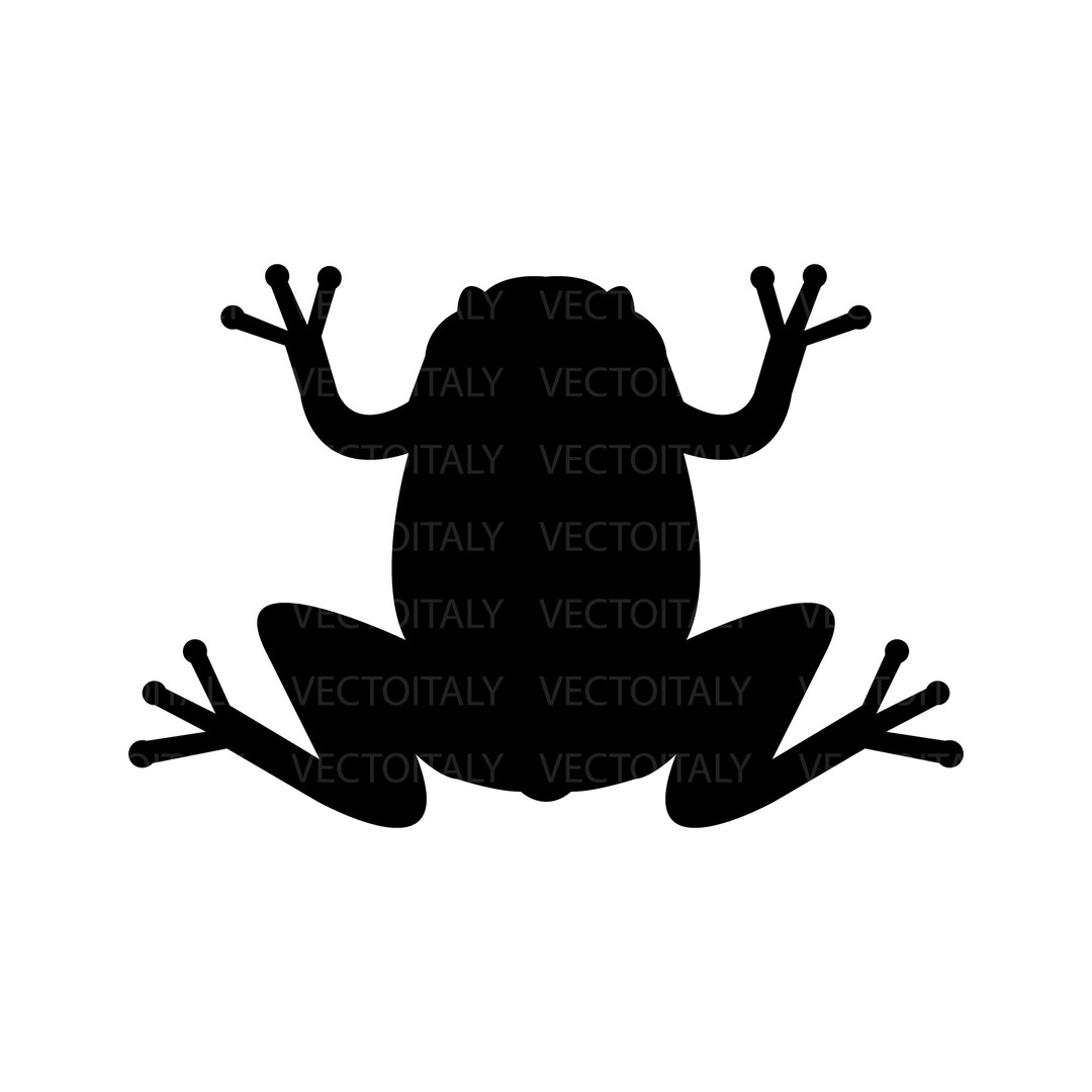 Frog SVG, Frog PNG, SVG Files for Cricut, Commercial Use, Instant ...
