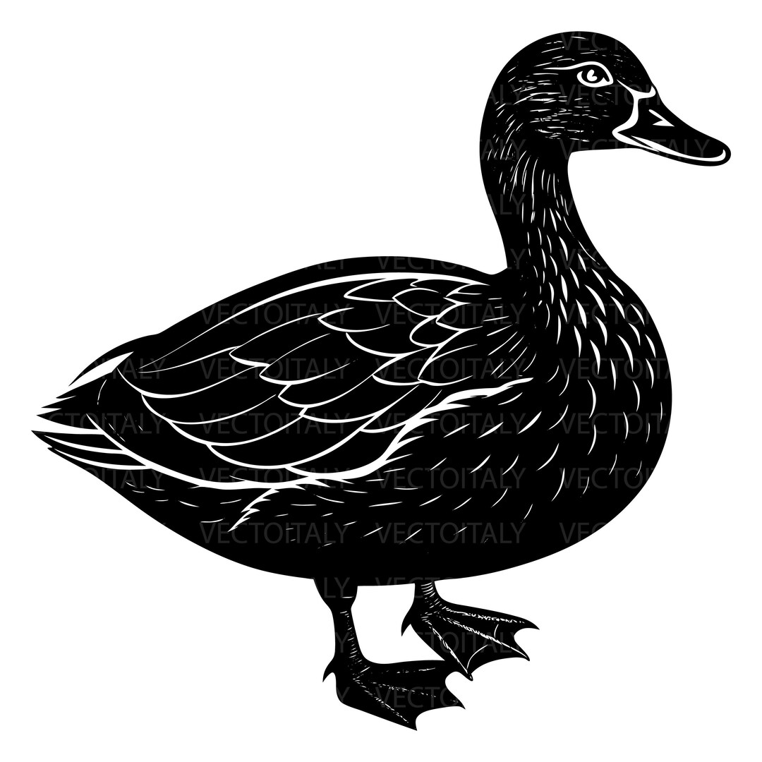 Duck SVG, Funny Duck Svg Cut Files Clipart, Silhouettes Pdf File ...