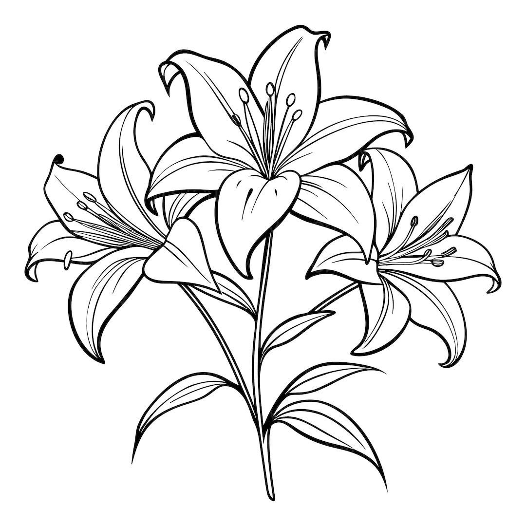 SVG, Calla Lily Svg, Stargazer Lily Svg, Lily Svg, Lilies Svg, Lily Pad ...