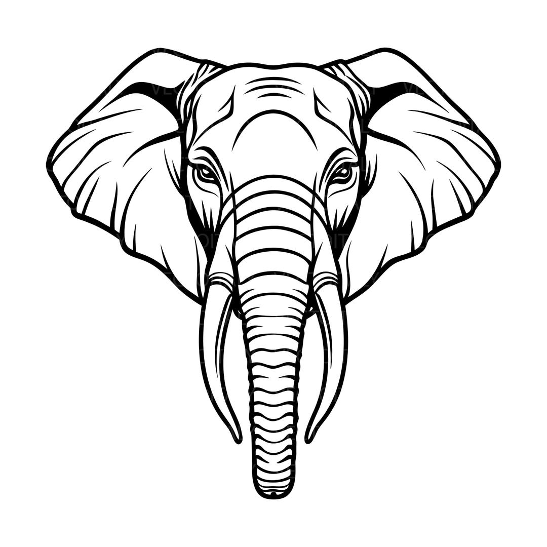 Elephant Head SVG - African Safari Animals Elephant Tusks Silhouette ...