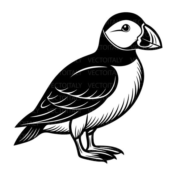 Puffin Outline Drawing