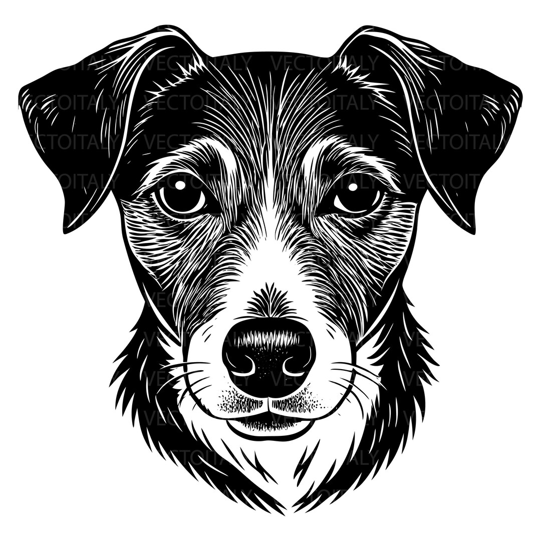Vector JACK RUSSELL Terrier, Dog, SVG, Ai, Png, Pdf, Eps, Jpg Download ...