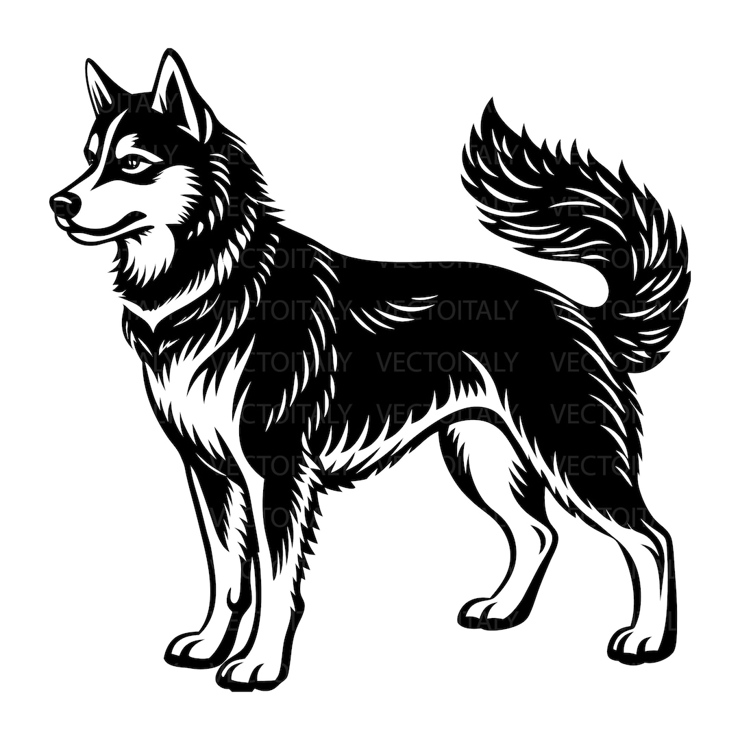 Husky SVG, Silhouettes Pdf, Siberian Husky SVG for Cricut, Dog Clipart ...