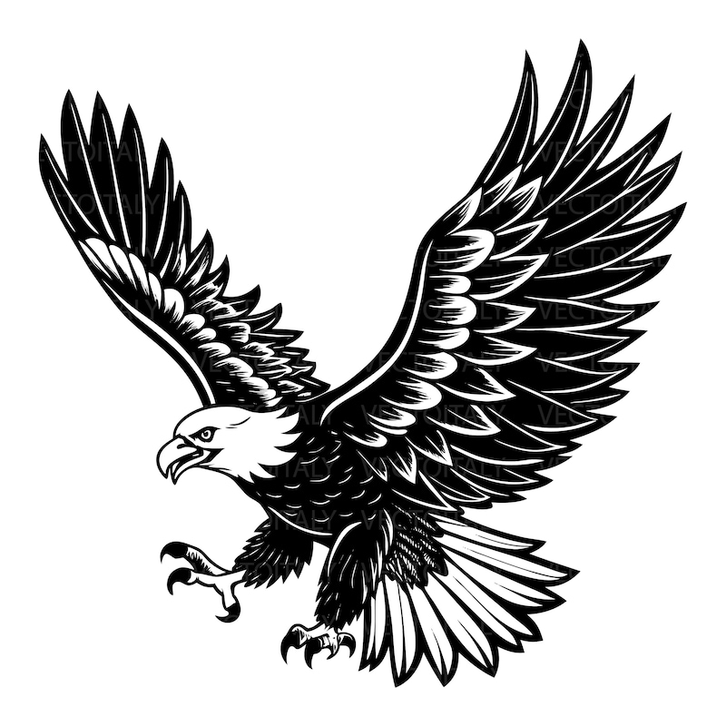 Bald Eagle Drawing Svg - Etsy UK